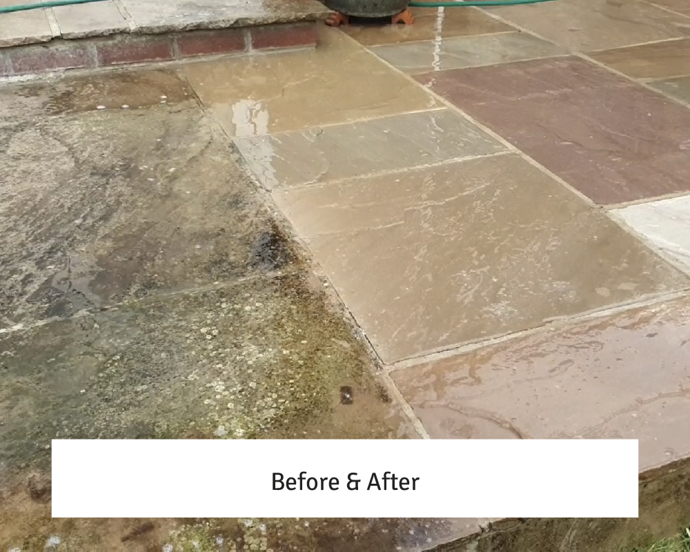 Black Spot & Algae Remover - ECOPROTEC